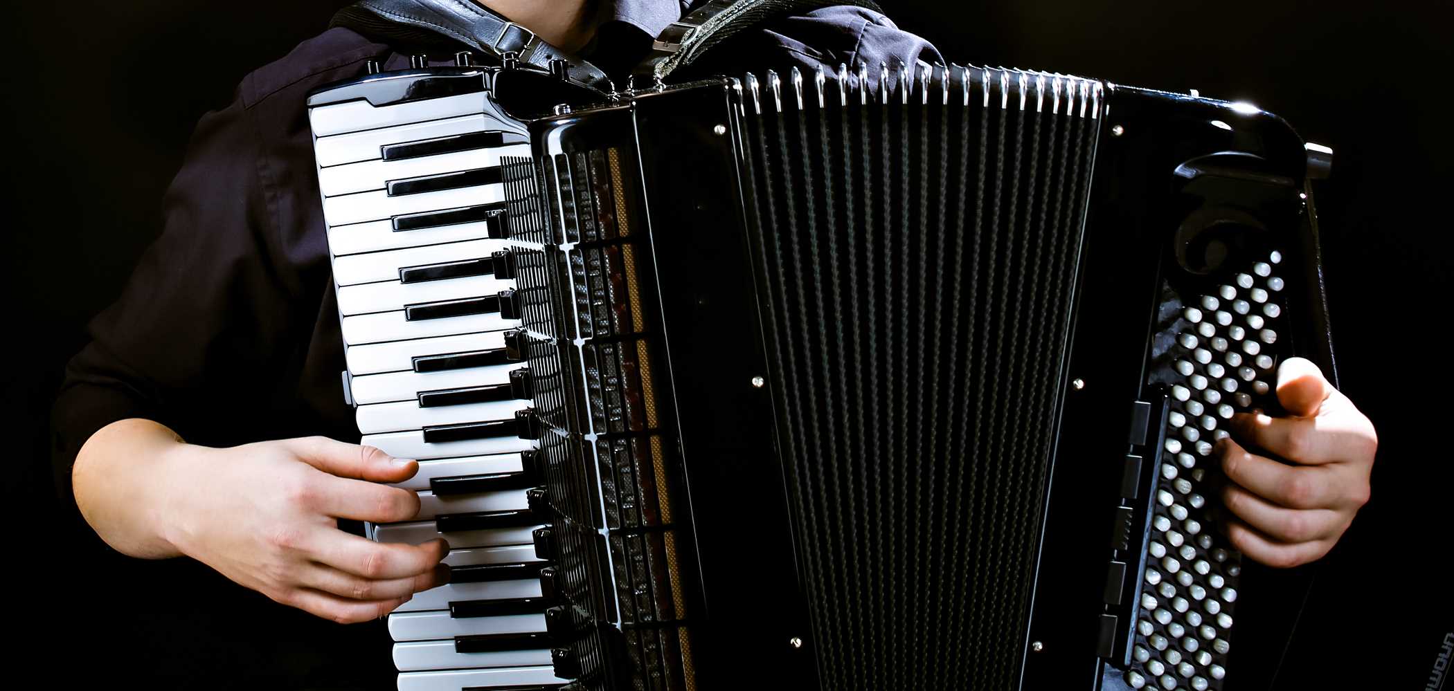 Akordeon Akustik: Evolusi dari Tradisional hingga Era Digital - Ka'u ...